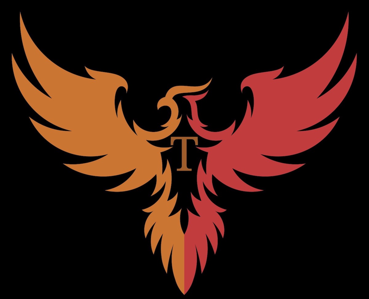 The 5 Steps of Transformation - TRANSFORMERS